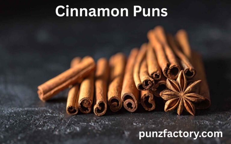Cinnamon Puns: Spice Up Your Day with These Hilarious and Punny Delights