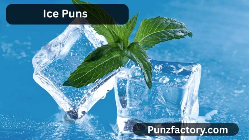 Ice Puns One Liners